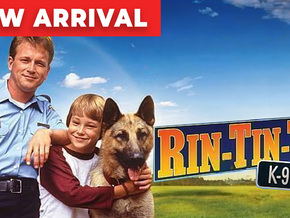 Watch Rin Tin Tin: K-9 Cop - TV Series Free Online | Fawesome TV