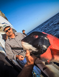 Watch S01 E21 - Fishing Frenzy at Alijos Rocks, Part 4: The Bait ...