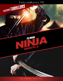 Watch Ninja Death 2 Full Movie Free Online - Fawesome TV