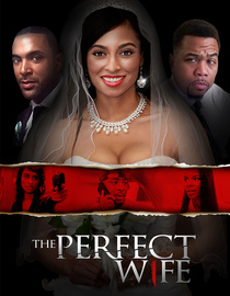 Watch The Perfect Wife Full Movie Free Online - Fawesome TV
