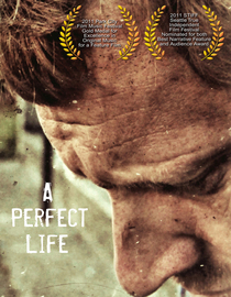 Watch A Perfect Life Full Movie Free Online - Fawesome TV