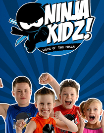 Watch BTS Power Ranger Ninja Kidz Season 2 - Bryton Myler | Free TV ...