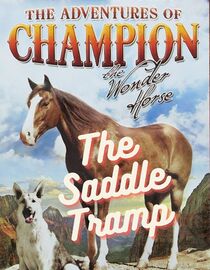 Watch S01 E01 - The Saddle Tramp - Champion the wonder horse | Free TV ...