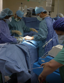 Watch S06 E03 - Mans Best Friend? - Forensic Files | Free TV Shows ...