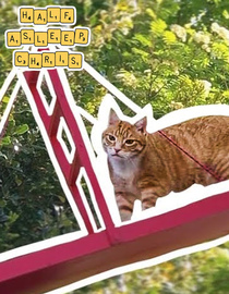 Watch I Built The Golden Gate Bridge for my Cat | Free TV Shows ...