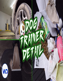 Watch S03 E02 - Detailing a Dog Trainer's Dirty SUV - WD Detailing | Free TV Shows | Fawesome TV