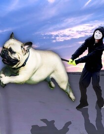 Watch PROJECT ZORGO DOG has me HIDING in ABANDONED JUNKYARD - Winter ...