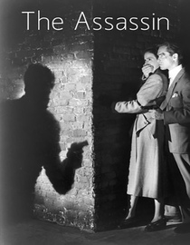 Watch The Assassin Full Movie Free Online - Fawesome TV
