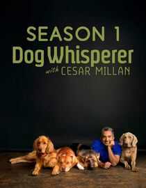 Watch S01 E14 - Jake and King - Dog Whisperer with Cesar Millan | Free ...