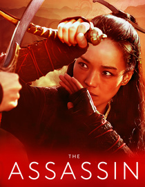 Watch The Assassin Full Movie Free Online - Fawesome TV