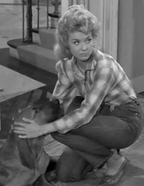 Watch S01 E06 - Elly's Animals - The Beverly Hillbillies | Free TV ...