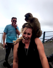 Watch Woman Freaks Out While on Vacation | Free TV Shows | Fawesome TV