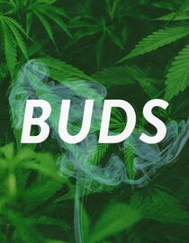 Watch Buds Full Movie Free Online - Fawesome TV